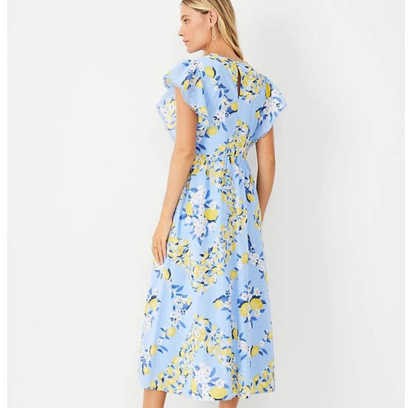 Ann Taylor | Dresses | Nwt Ann Taylor Blue Yellow Lemon Swiss Dot ...
